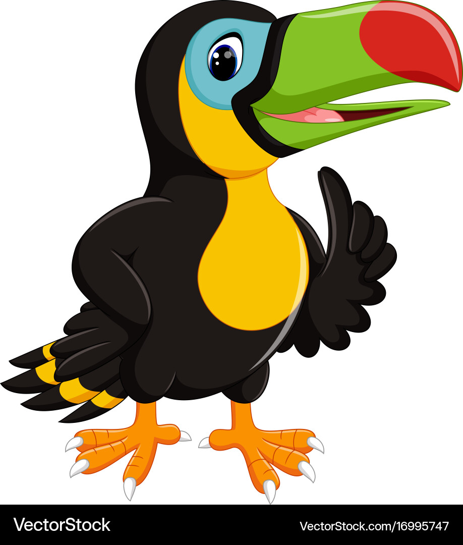 Cute toucan cartoon Royalty Free Vector Image - VectorStock