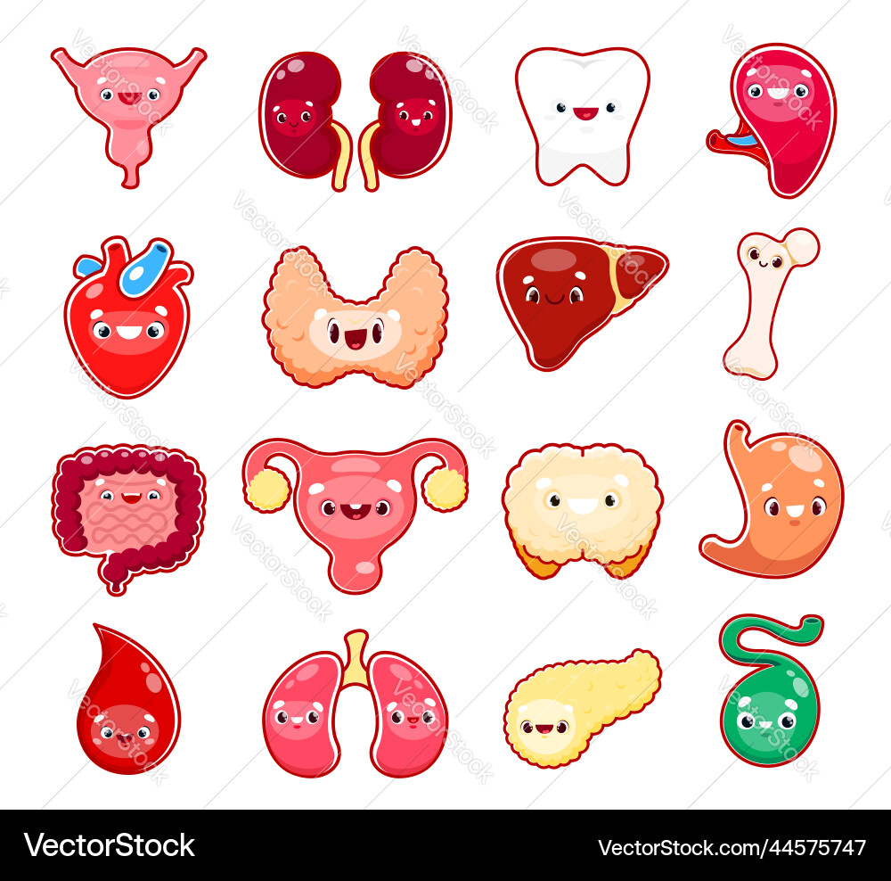 Funny Organ Characters Royalty Free Vector Image