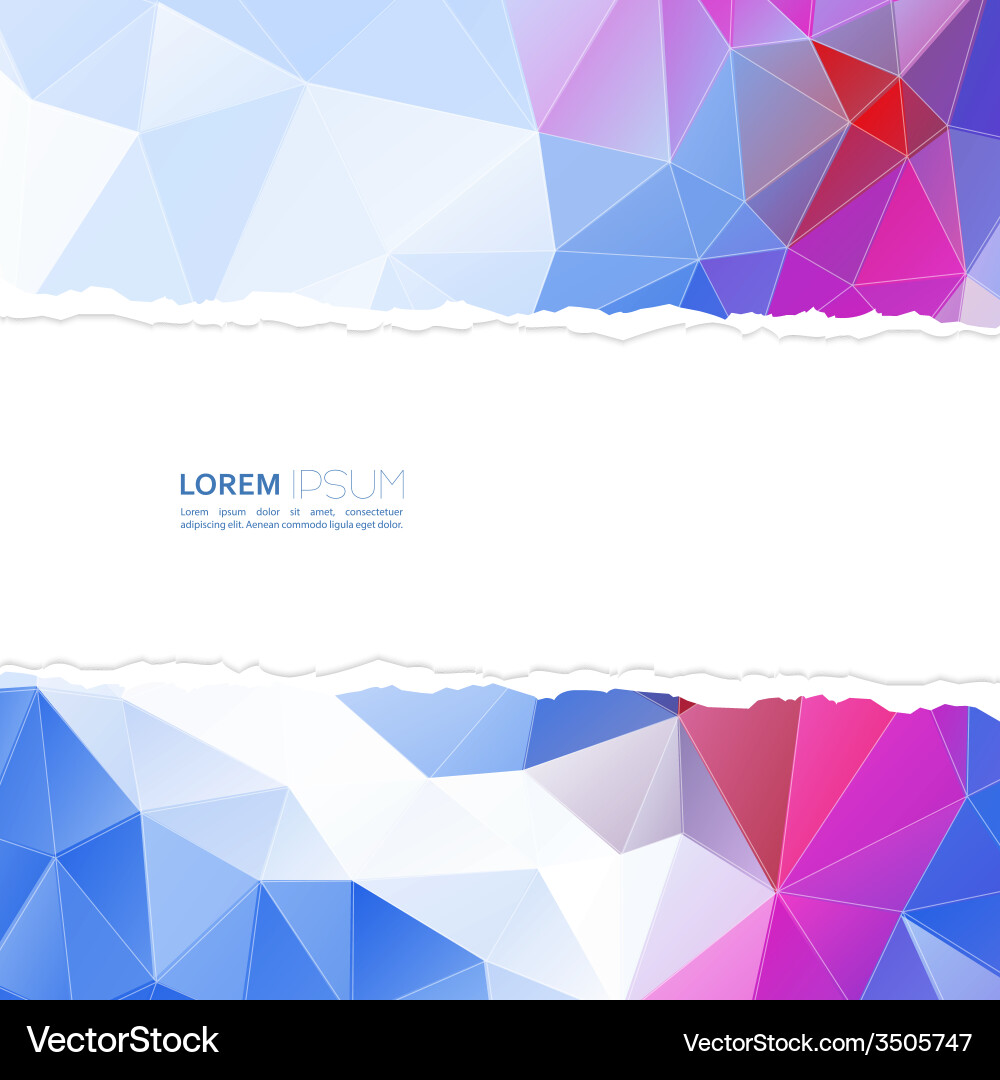 Torn paper with triangles and polygon mesh Vector Image