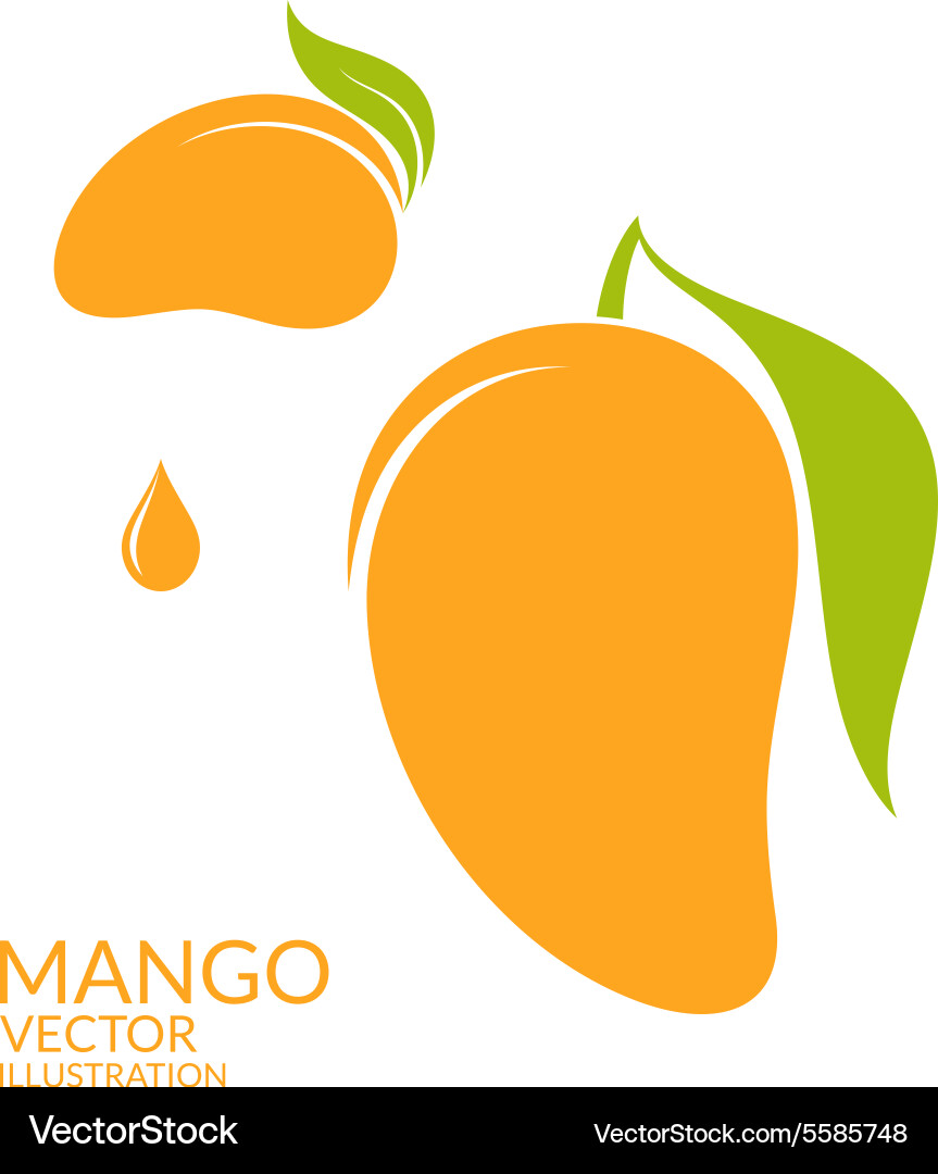 Mango Royalty Free Vector Image - VectorStock