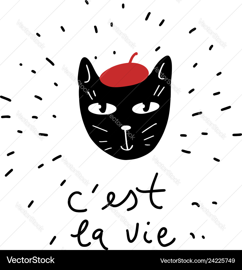 Cute black cat in doodle style Royalty Free Vector Image