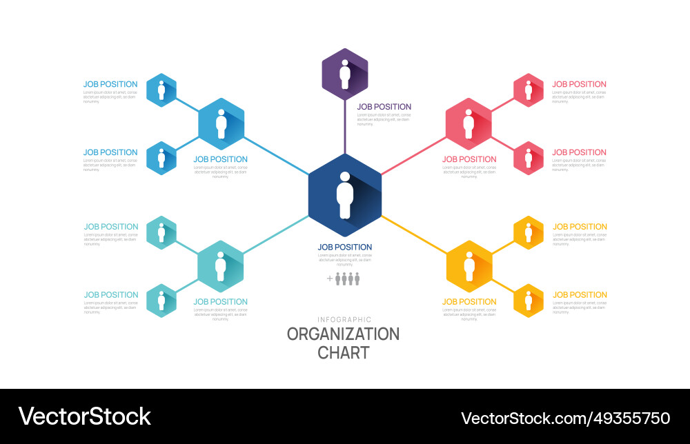Infografische Vorlage für das Organisationsdiagramm