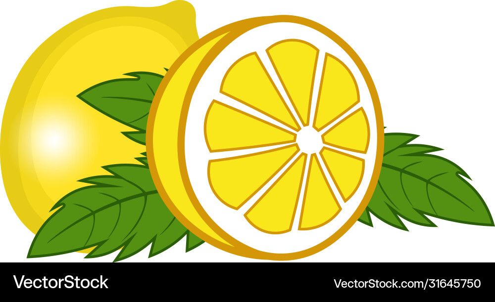Lemon Royalty Free Vector Image - VectorStock