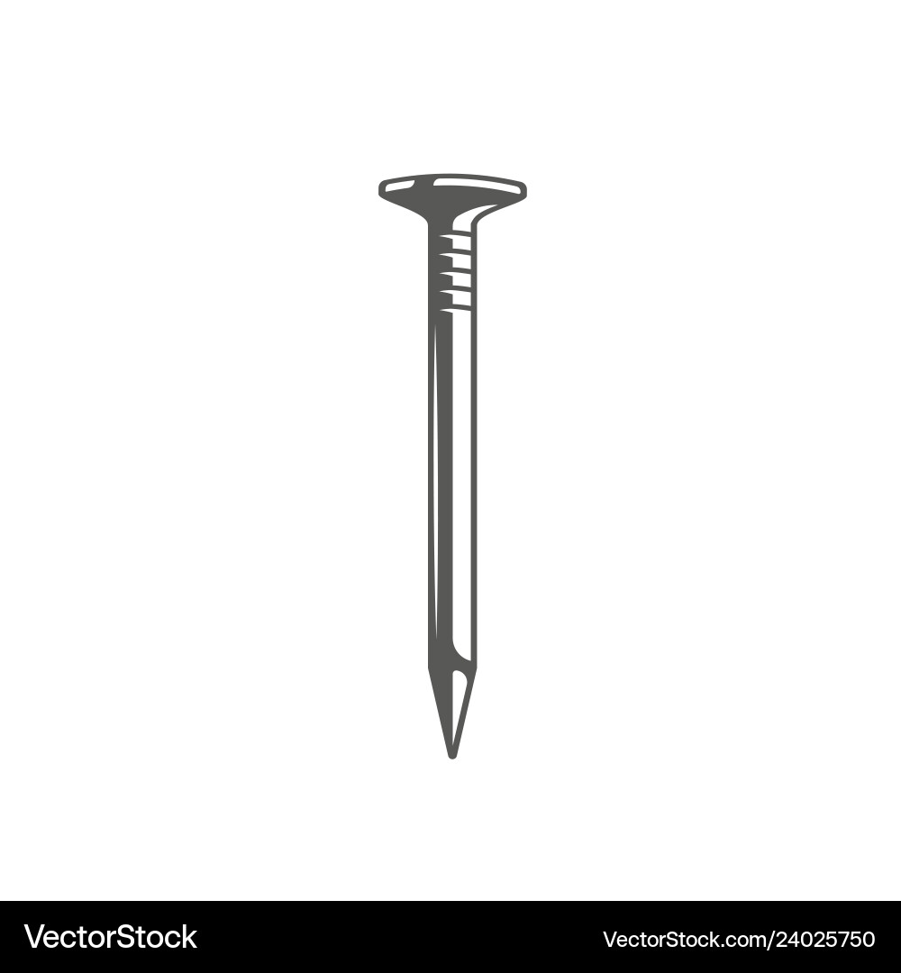 Nail isolated on white background Royalty Free Vector Image