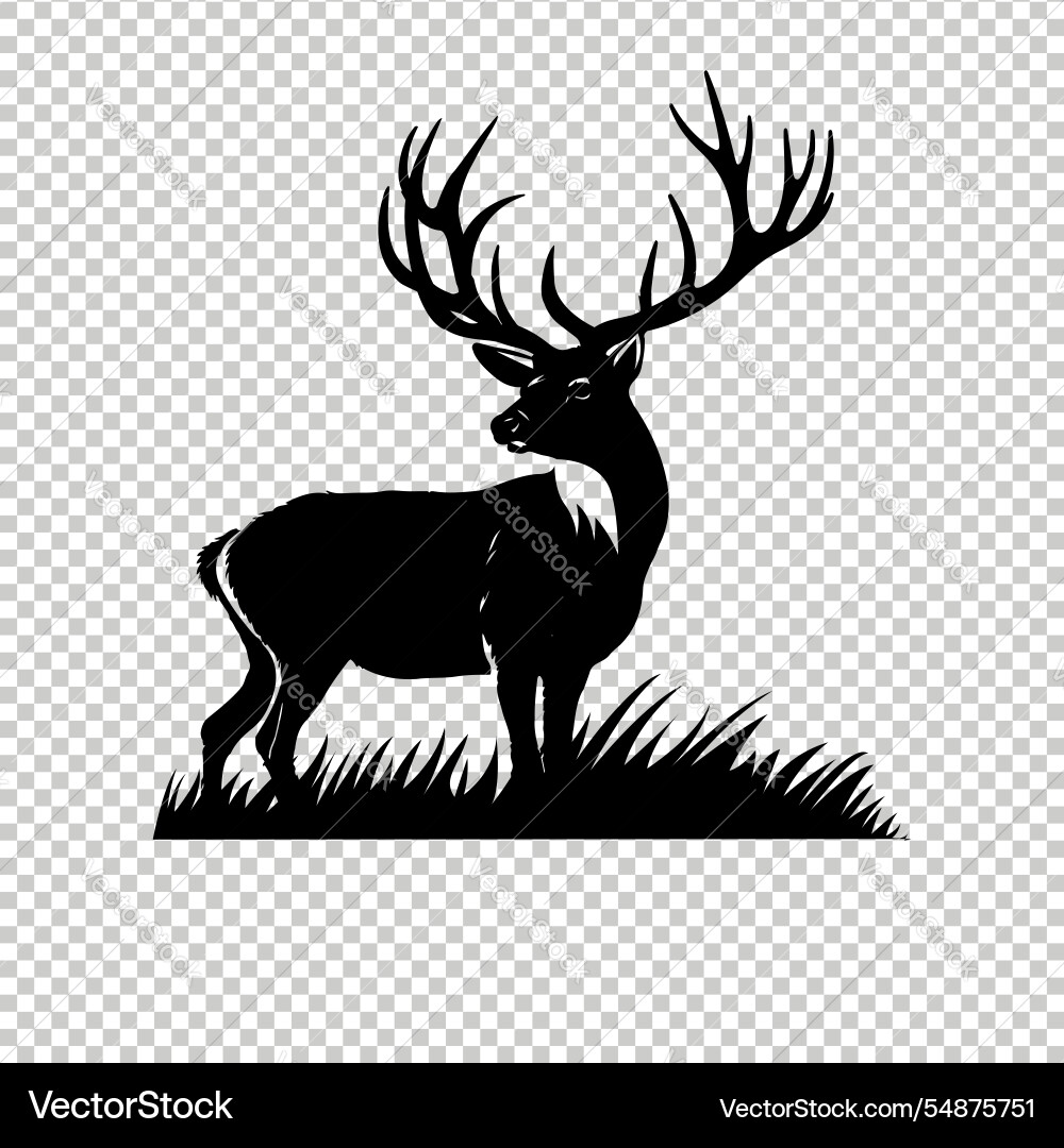 Whitetail deer Royalty Free Vector Image - VectorStock
