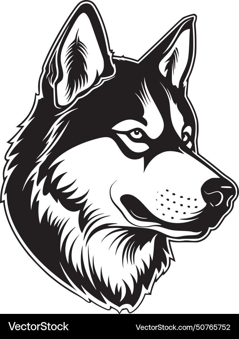 Siberian husky - high quality logo ideal Vector Image