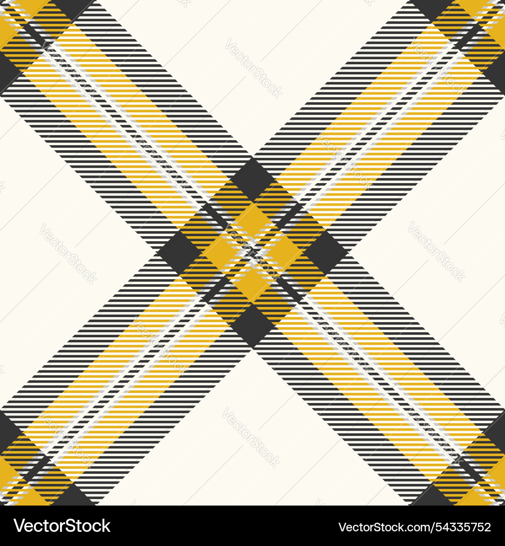 Traditional textile fabric everyday texture Vector Image