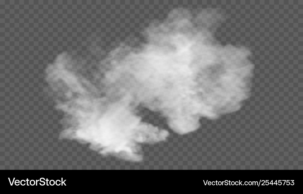 Transparent special effect stands out with fog Vector Image