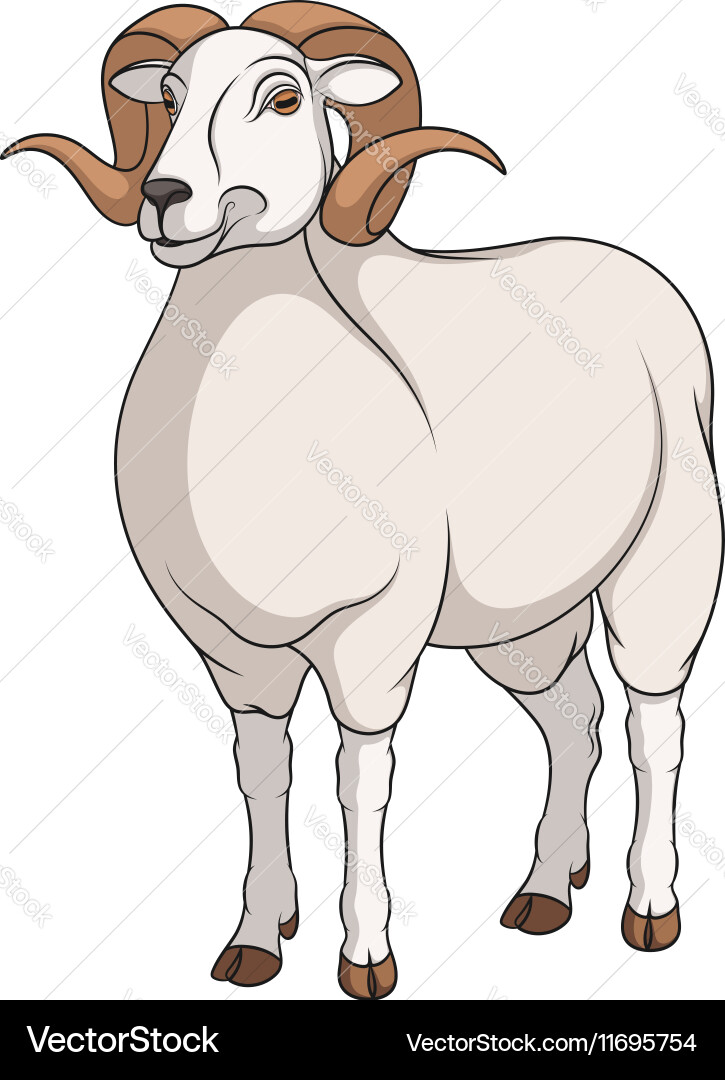 Color image of a ram Royalty Free Vector Image
