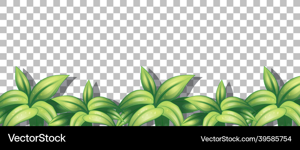 Nature plants frame transparent background Vector Image