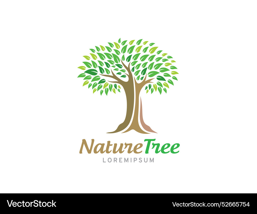 Nature tree logo symbol or icon template Vector Image