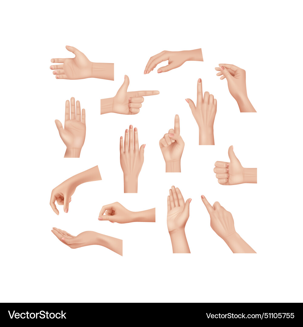 Hands gestures realistic detailed anatomic people Vector Image