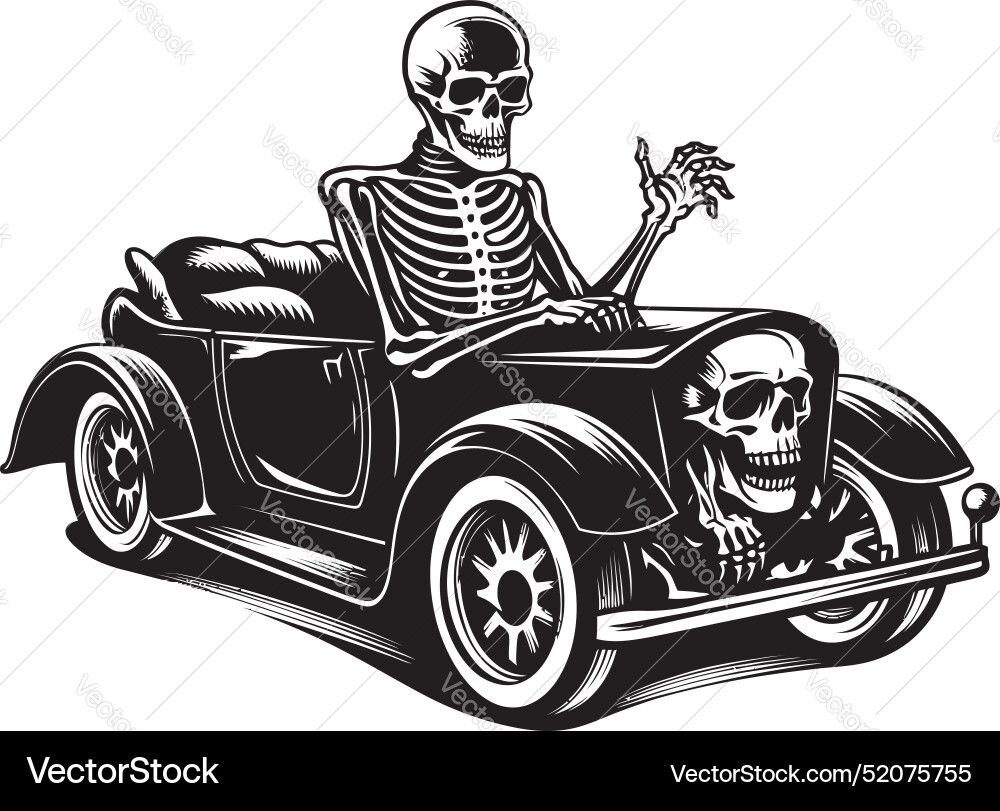 Highway bones skeleton driving car graphic Vector Image