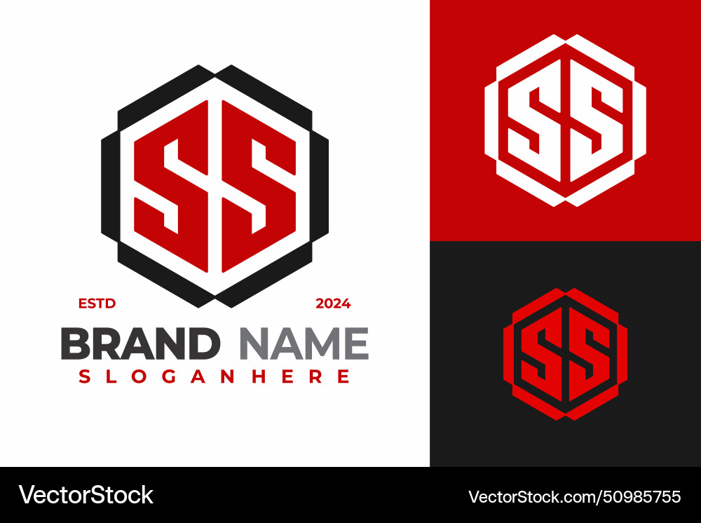 Letter ss hexagonal logo design symbol icon Vector Image