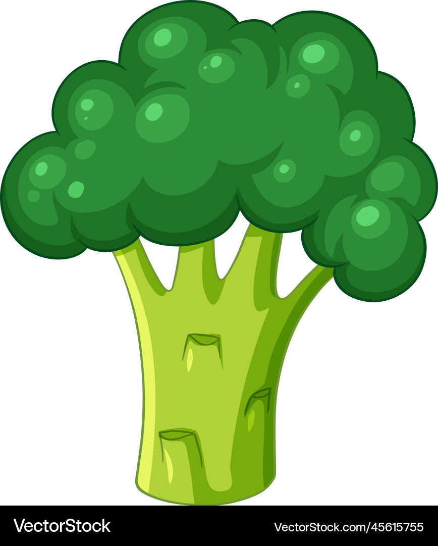 Simple broccoli cartoon isolated Royalty Free Vector Image