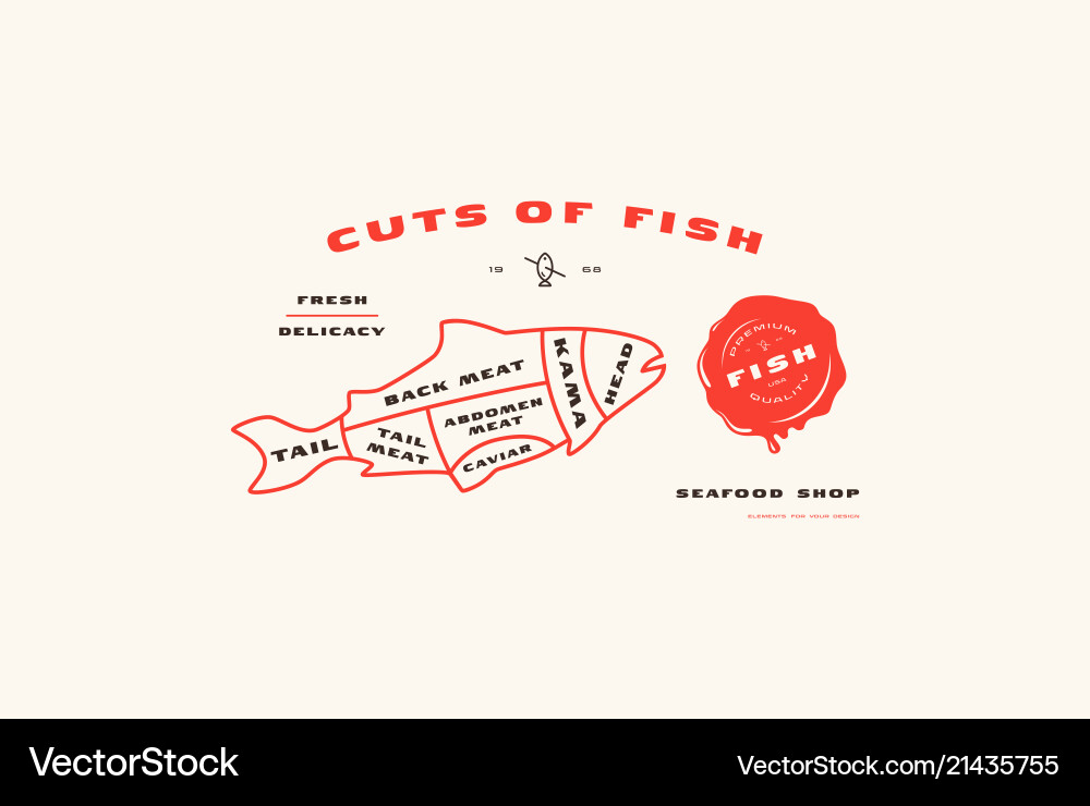 Stock fish cuts diagram in thin line style Vector Image