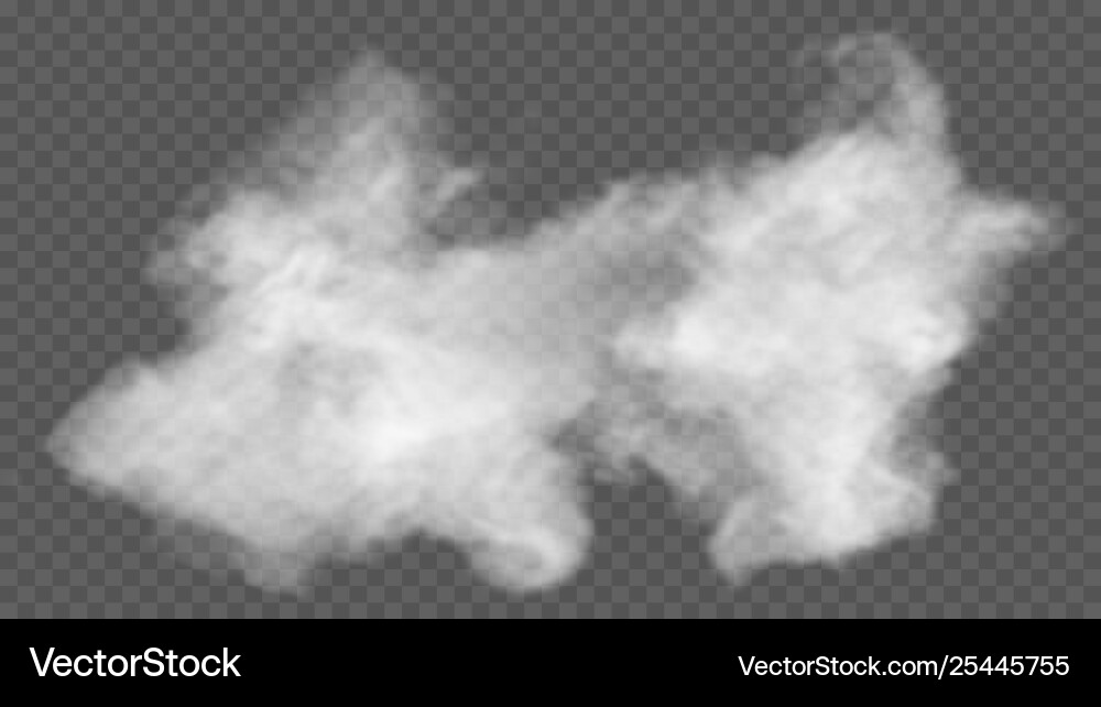 Transparent special effect stands out with fog Vector Image