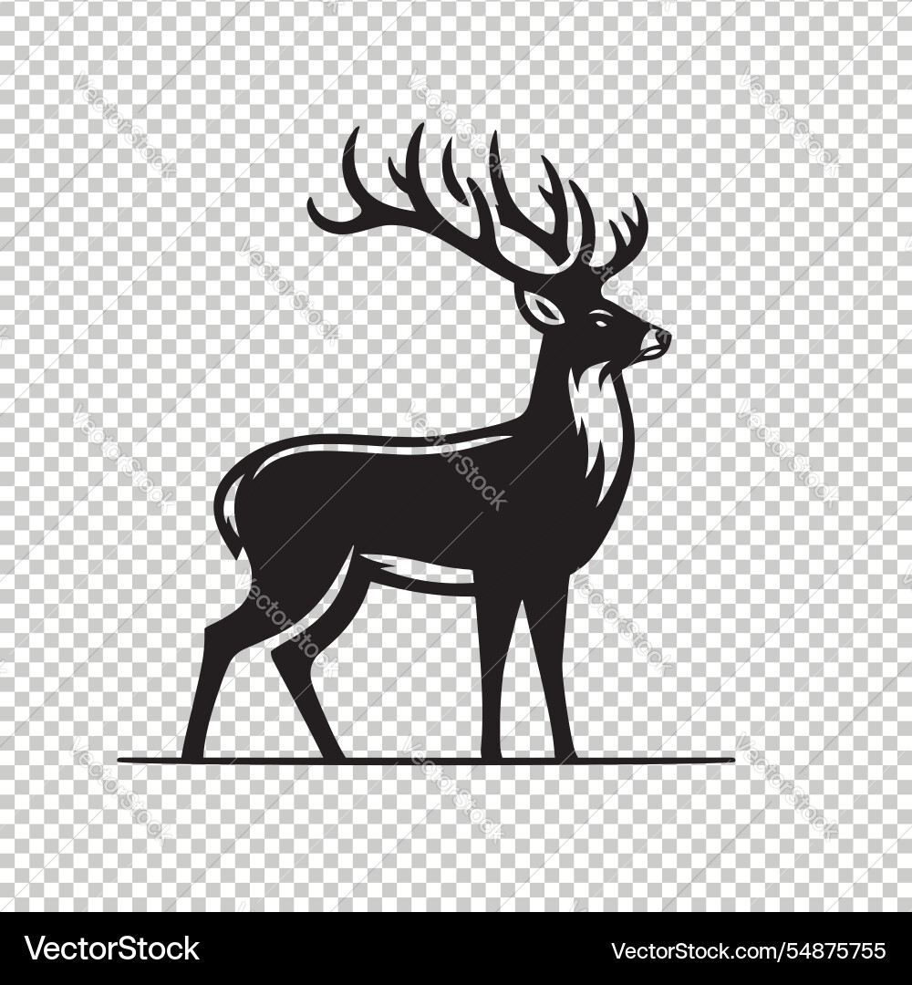 Whitetail deer Royalty Free Vector Image - VectorStock