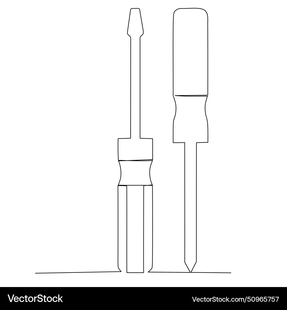 A pair of tools flat head and phillips screw Vector Image