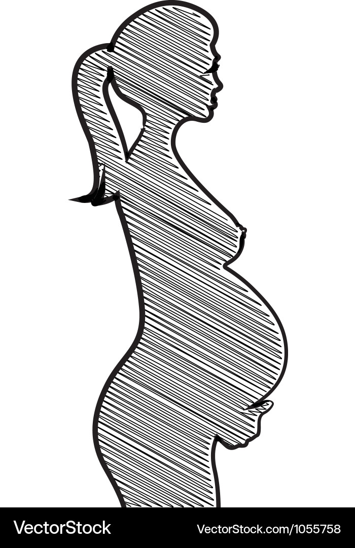 Pregnant female Royalty Free Vector Image - VectorStock