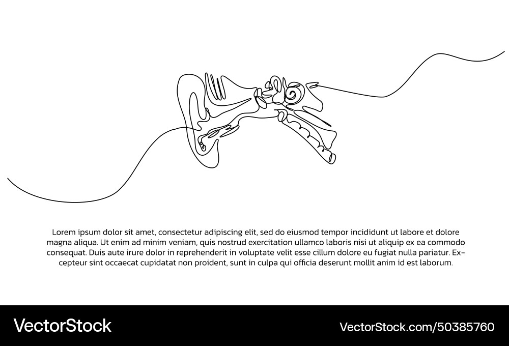 One line human ear sketch poster drawing Vector Image
