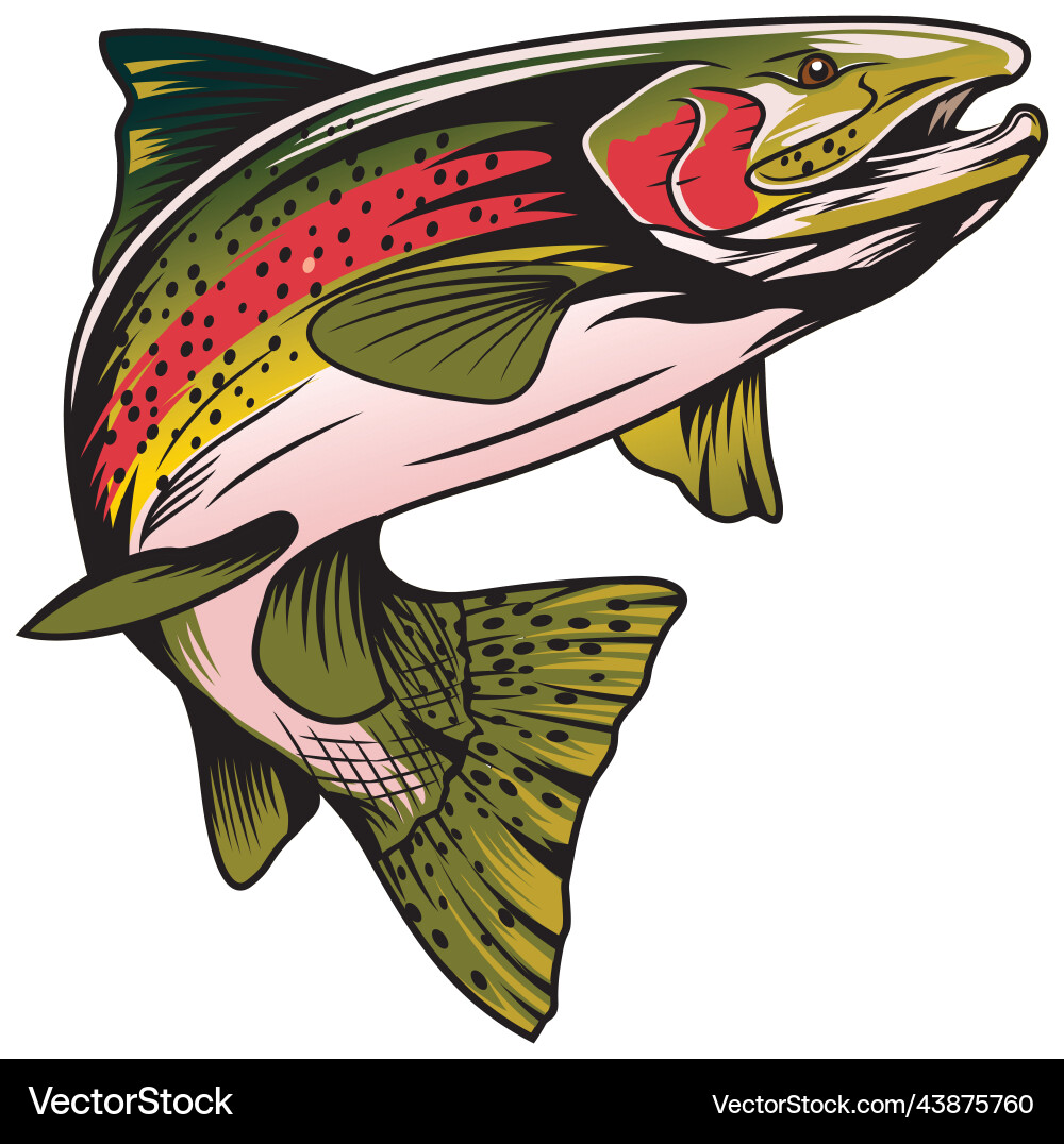 Trout fish fishing template Royalty Free Vector Image