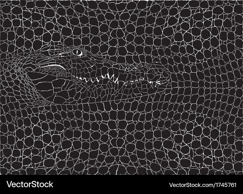 Crocodile pattern background Royalty Free Vector Image