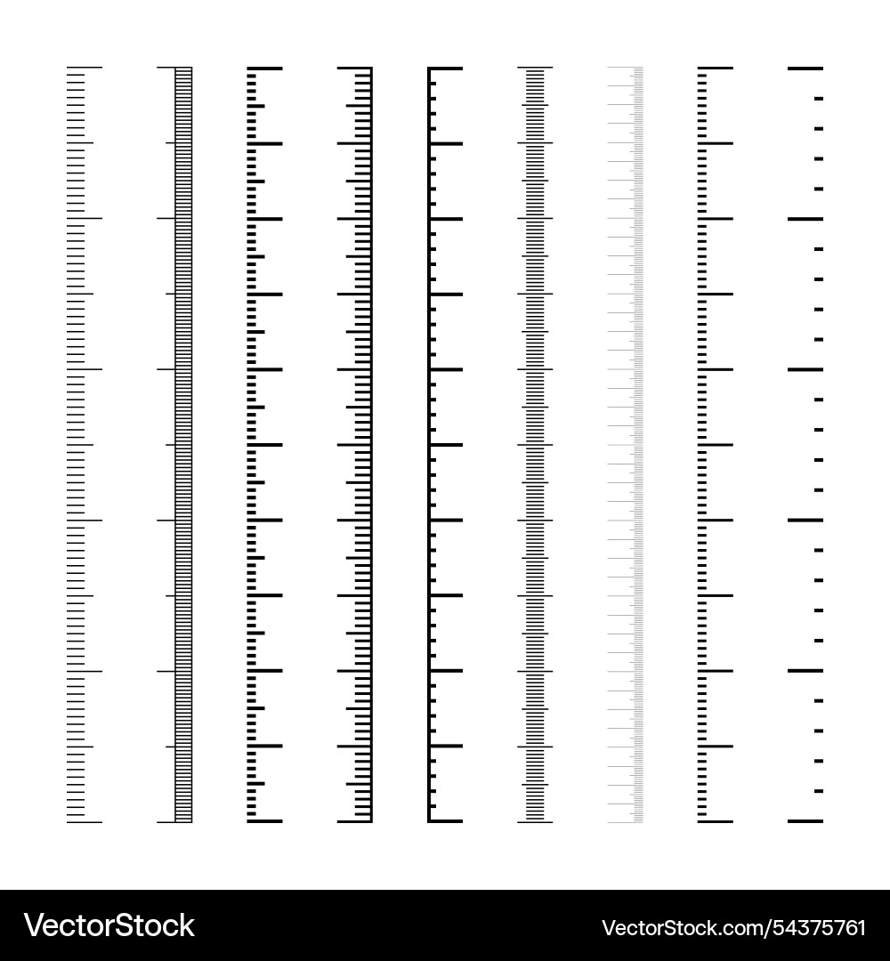 Vertical measurement scales with divisions Vector Image