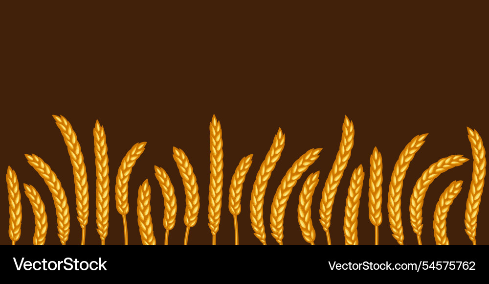 Wheat and Barley Border Royalty Free Vector Image
