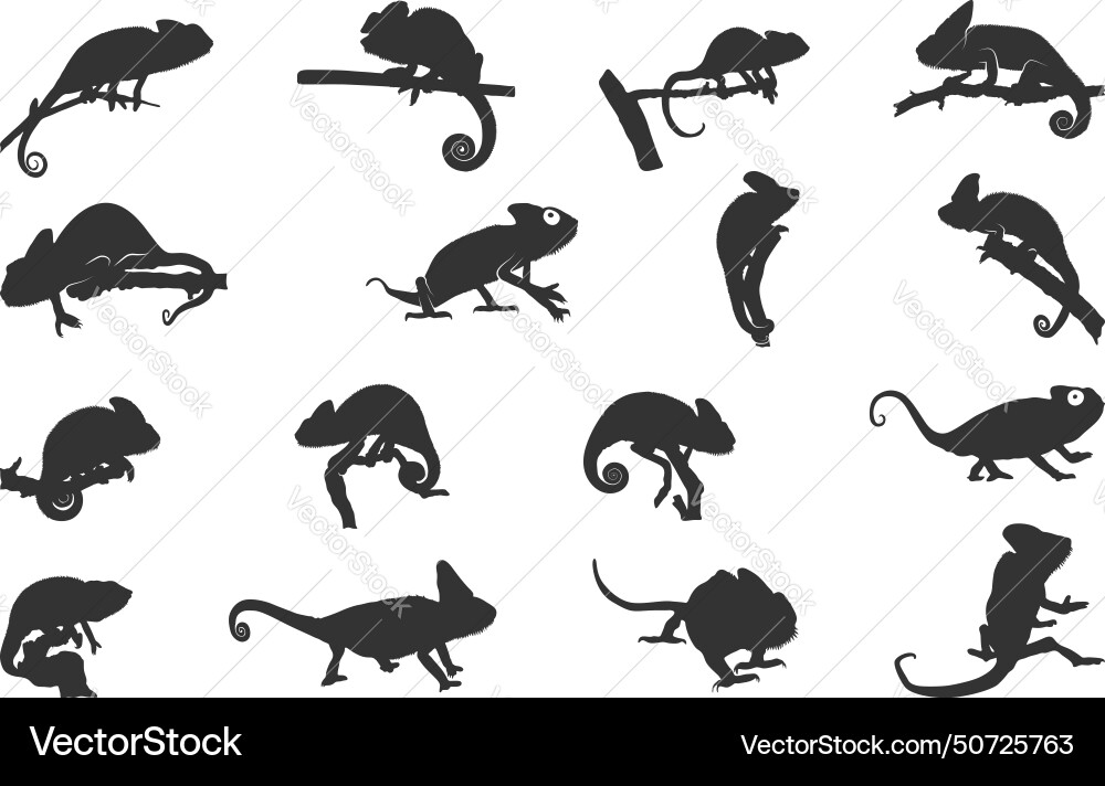 Chameleon silhouettes svg Royalty Free Vector Image