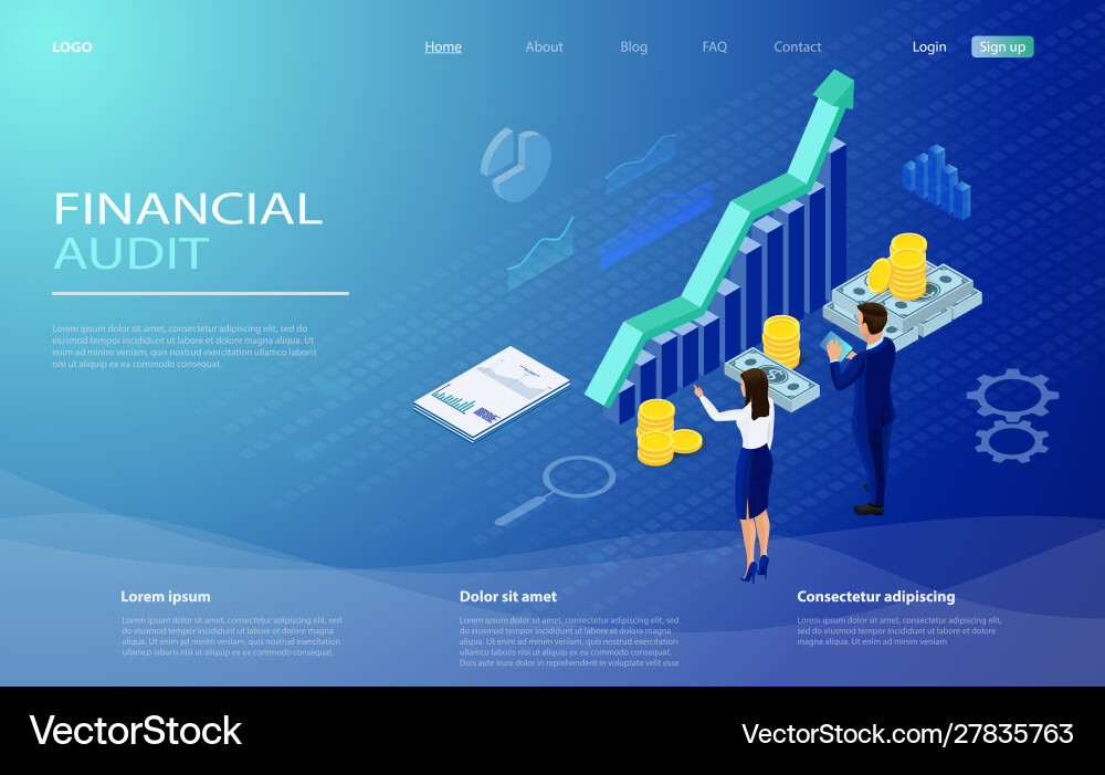 Financial statement analysis and statistic online Vector Image
