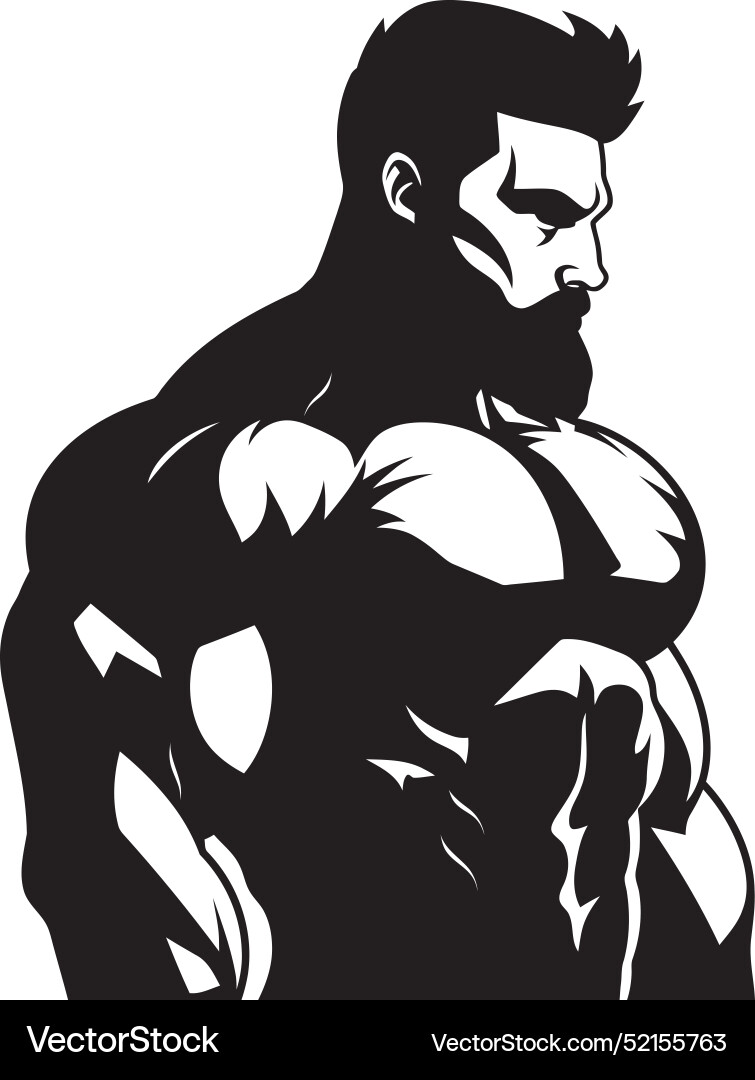 From shadows to sculptures the bodybuilders Vector Image