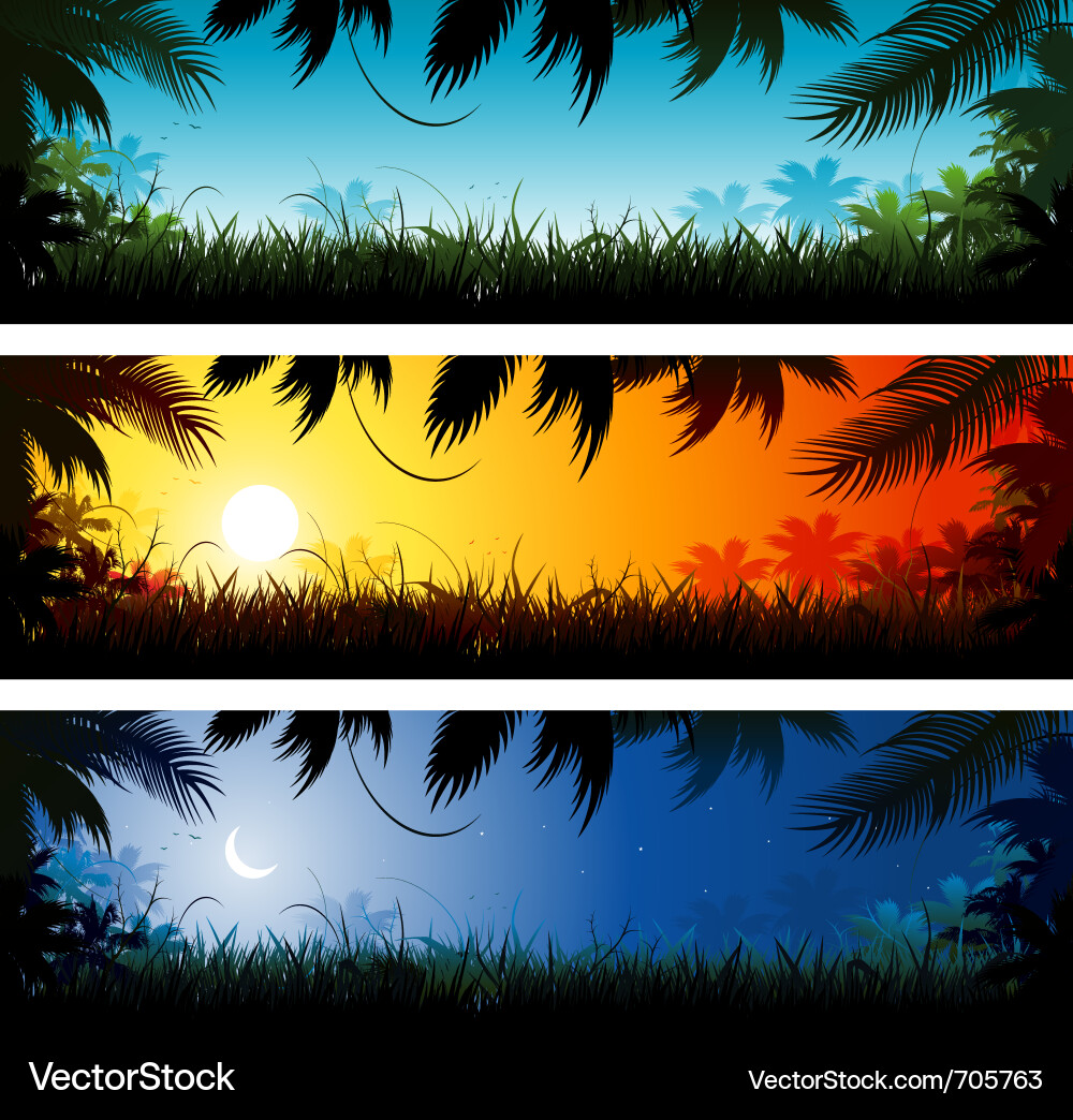 Jungle Vector Images (over 250,000)