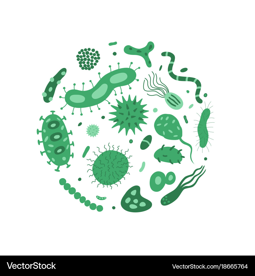 A circle of germs bacteria Royalty Free Vector Image