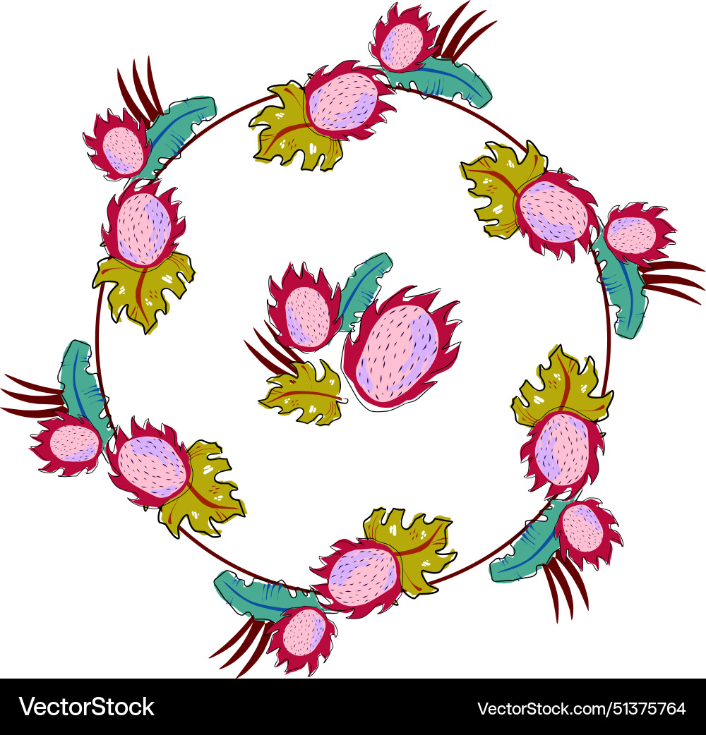 Tropical wreath frame decor doodle style pitaya Vector Image