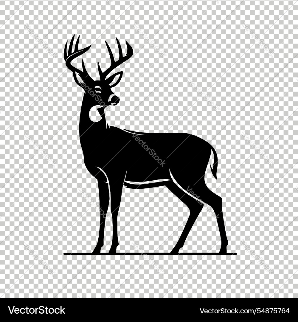 Whitetail deer Royalty Free Vector Image - VectorStock