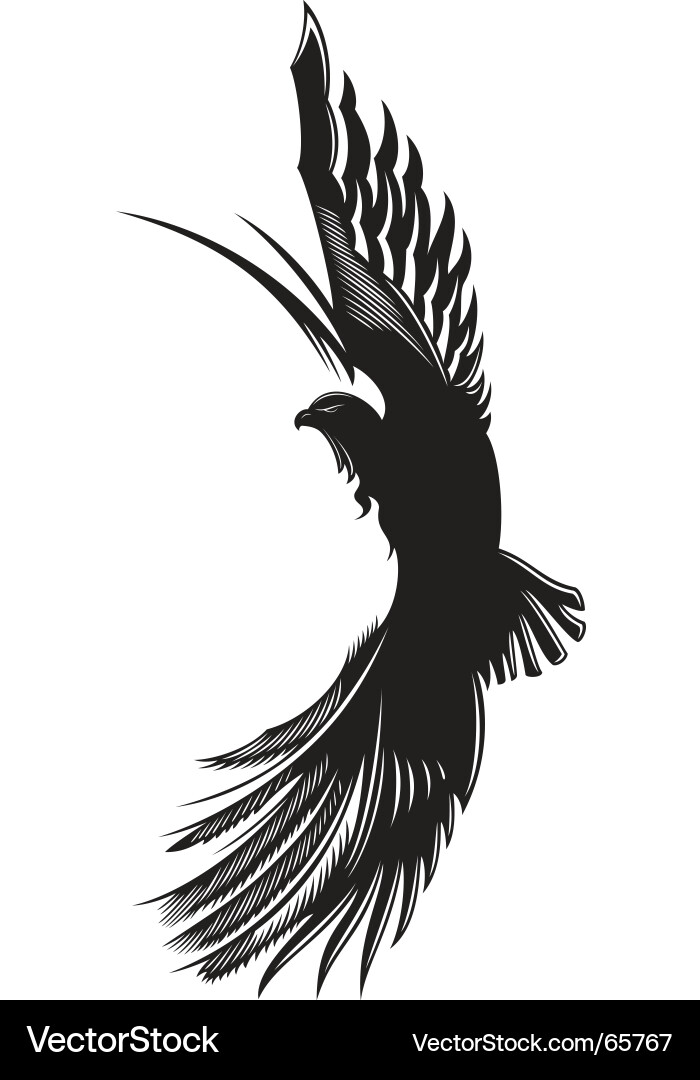 Adler Lizenzfreies Vektorbild - VectorStock