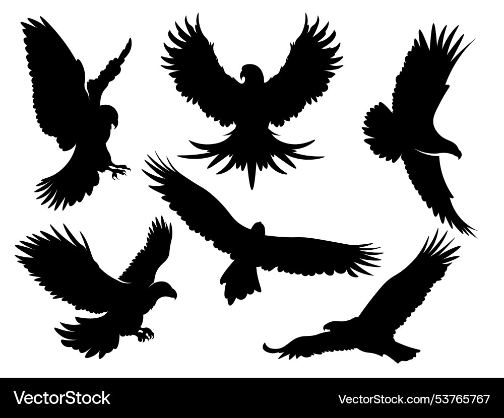 Adler Ikonen fliegen hawk bald falcon jagd Vektorbild