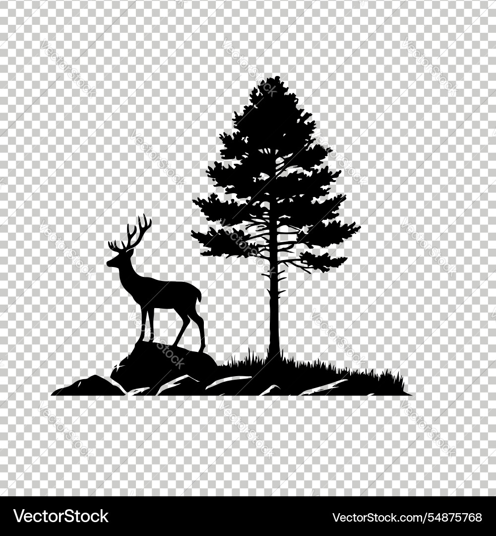 Whitetail deer Royalty Free Vector Image - VectorStock