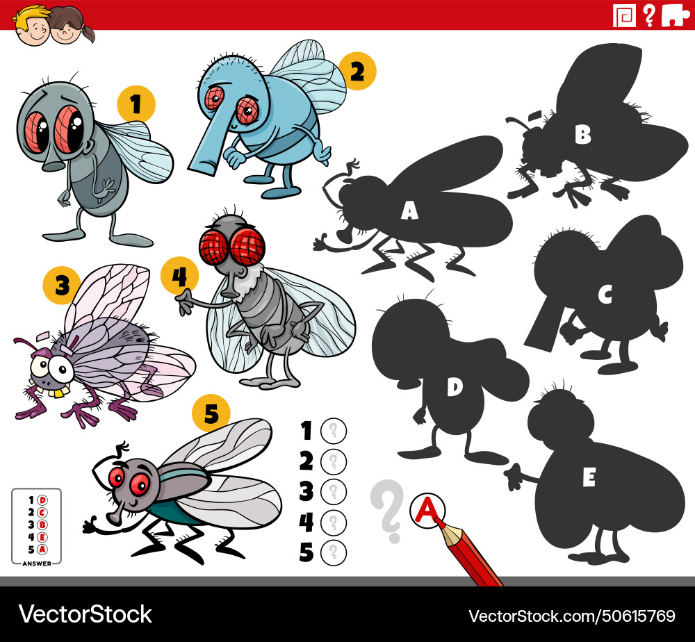 Finding shadows activity with cartoon flies Vector Image