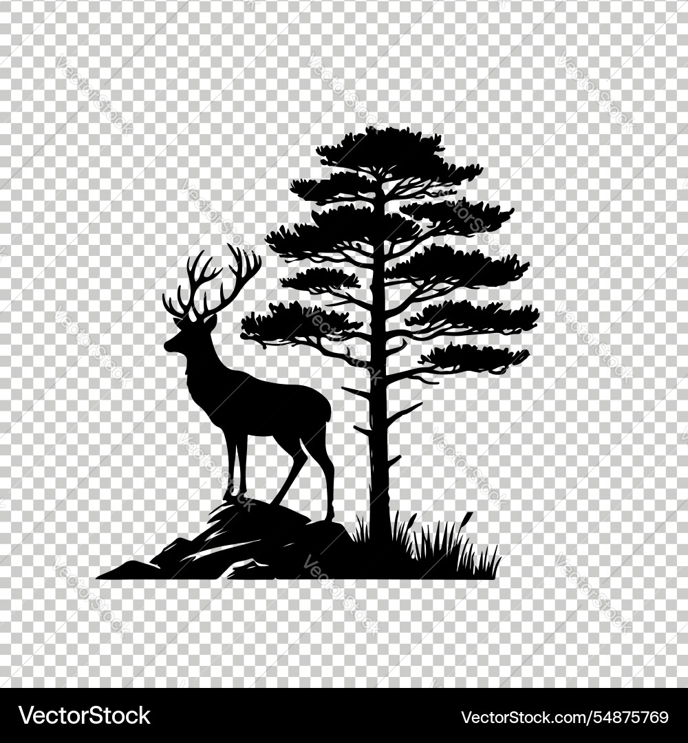 Whitetail deer Royalty Free Vector Image - VectorStock