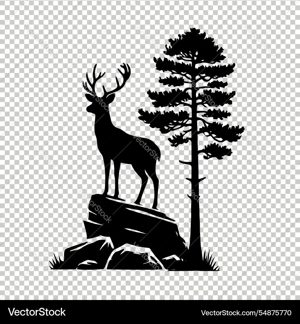 Whitetail deer Royalty Free Vector Image - VectorStock