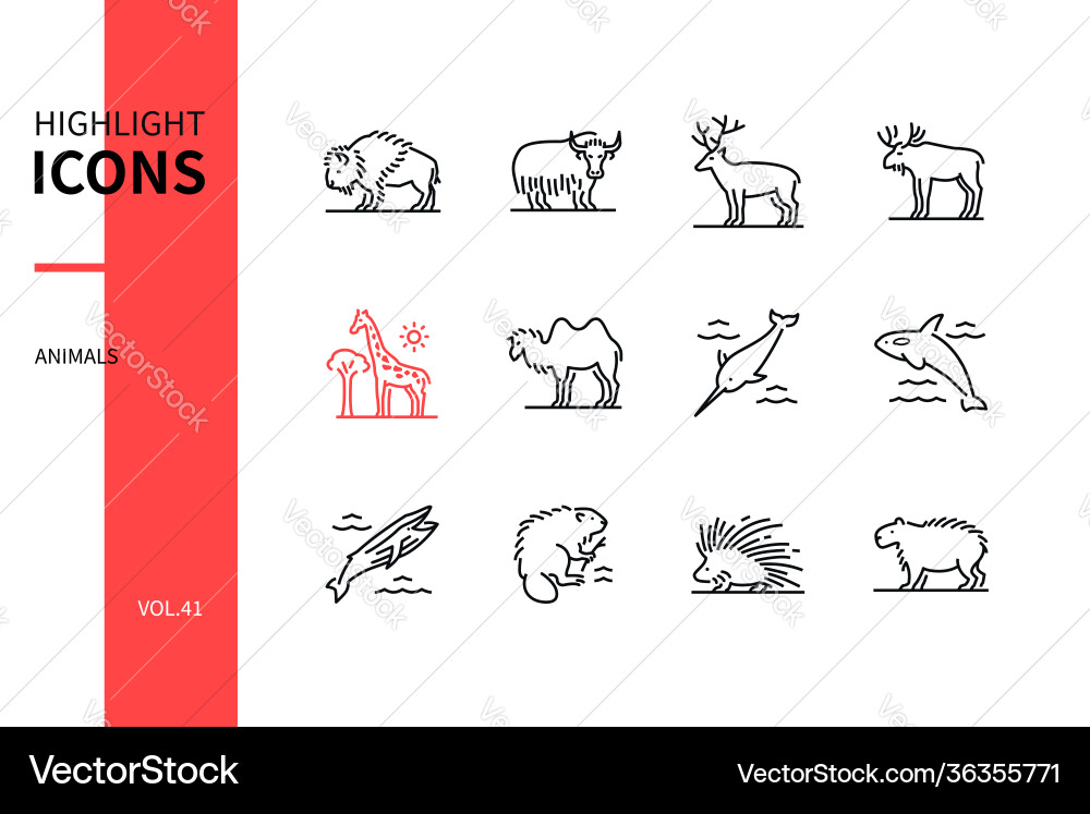 Animals collection - modern line design style Vector Image