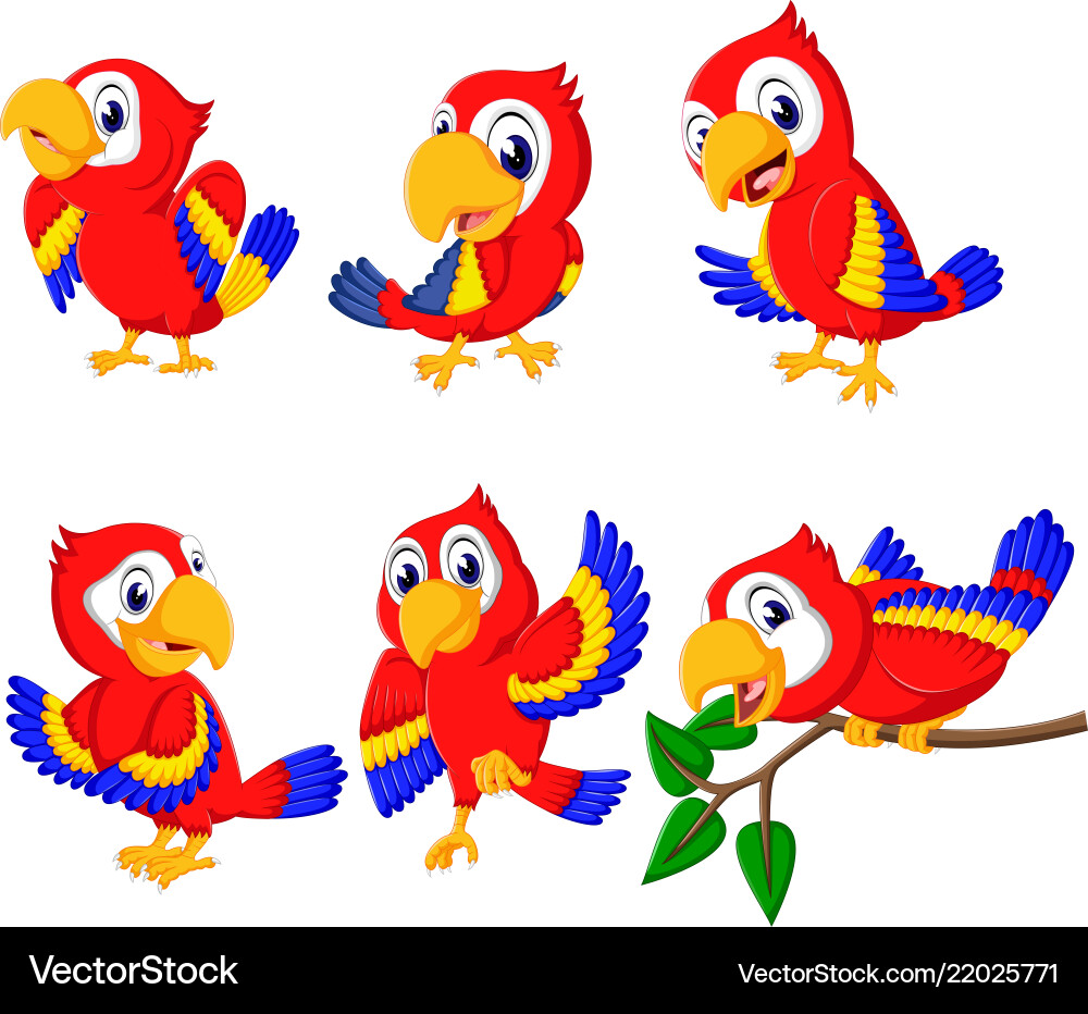 Collection of beautiful red parrots Royalty Free Vector