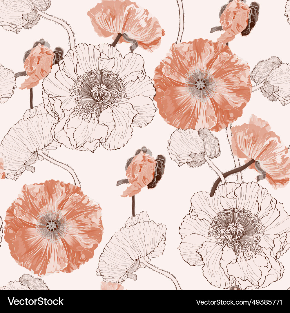 Poppy Flowers Vector Images (over 19,000)