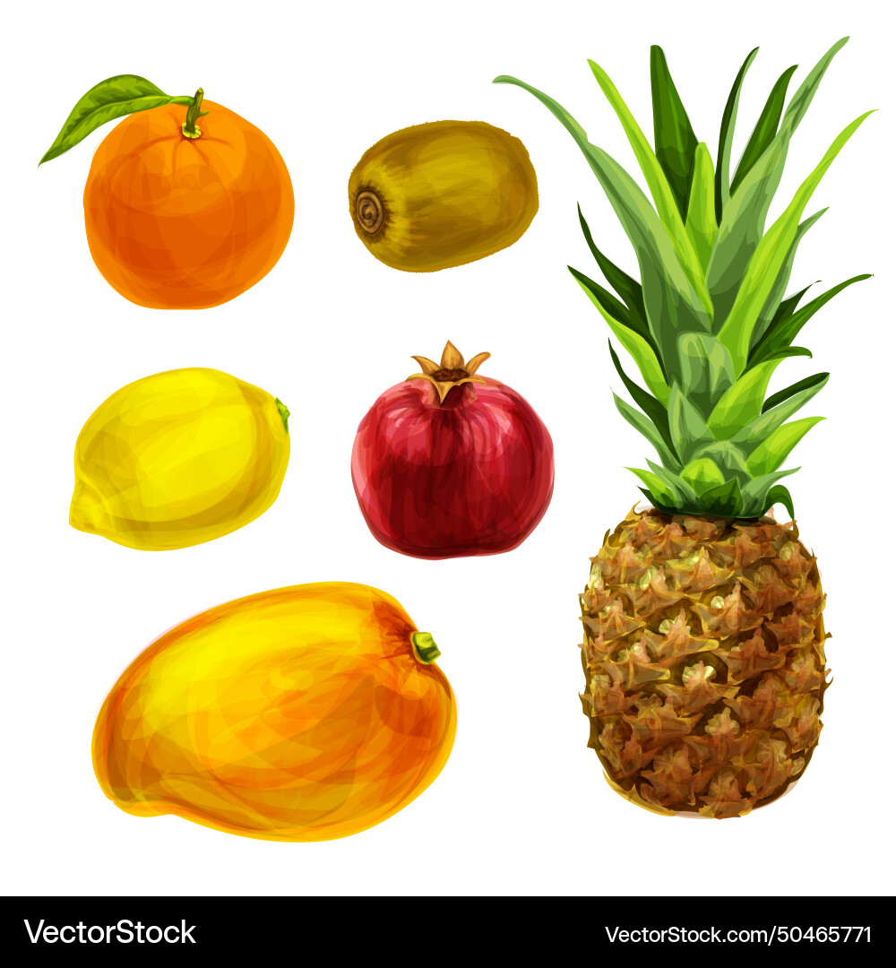 Tropical organic fruits collection Royalty Free Vector Image