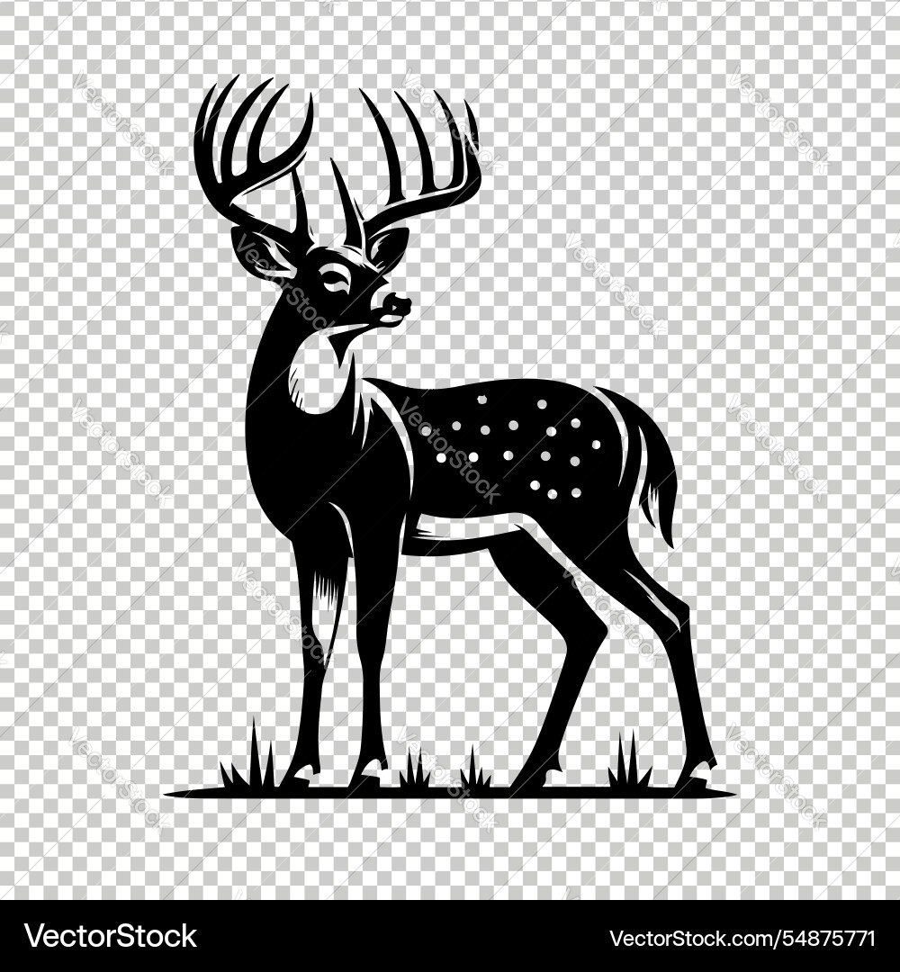 Whitetail deer Royalty Free Vector Image - VectorStock