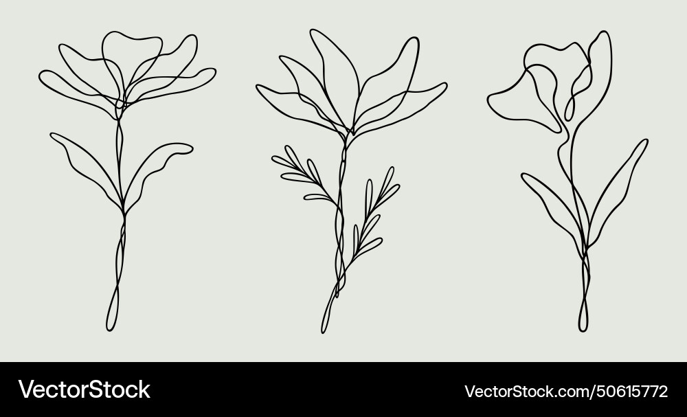 Wildflower line art bundle Royalty Free Vector Image