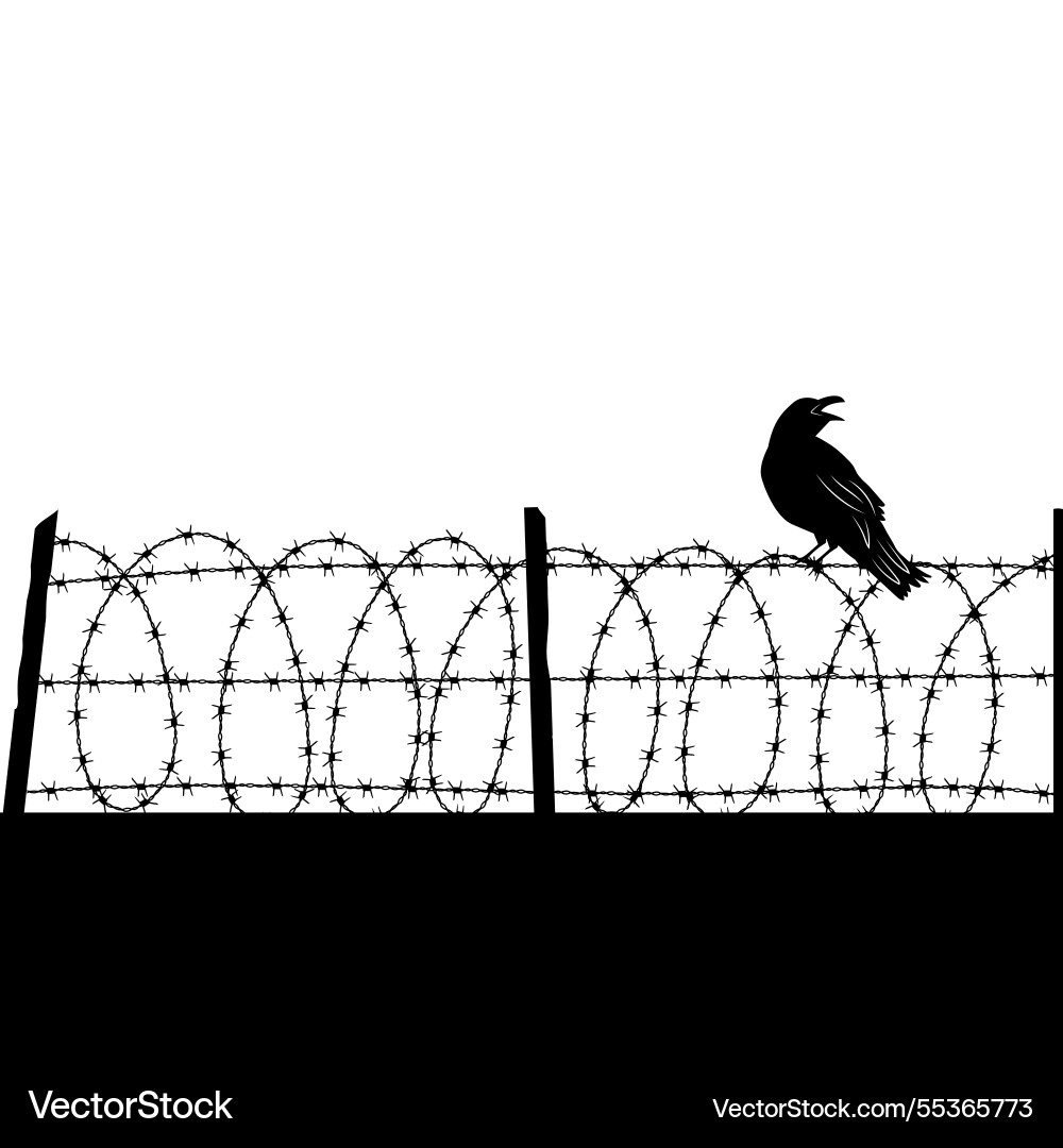 Barbed wire crow sitting Royalty Free Vector Image