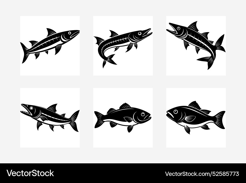 Barracuda and cod-fish Royalty Free Vector Image